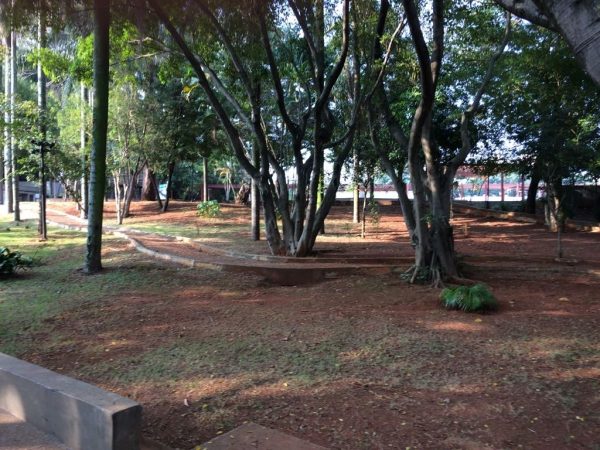 Mooca - Parque oferece diversão e piqueniques | Gazeta do Tatuapé